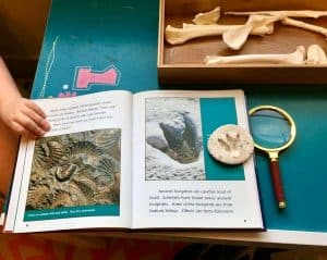 Prehistoric Animal & Dinosaur Activities With Free Printable • Happy ...