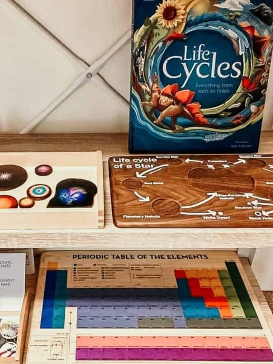 History of Language for Kids: The Montessori Fourth Great Lesson ...