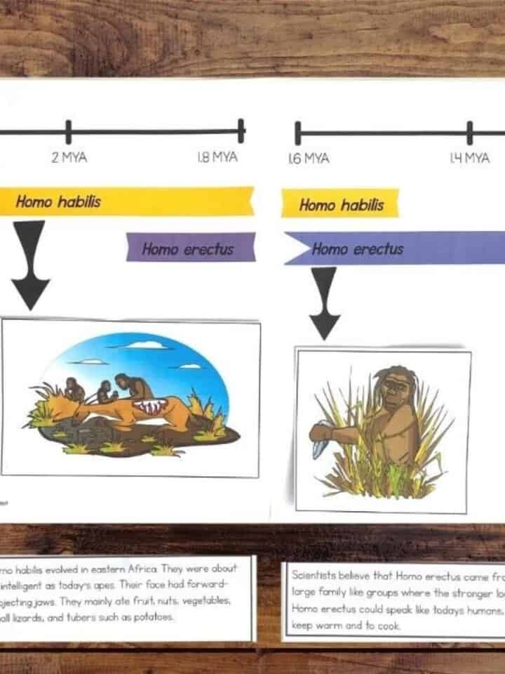 Montessori Homeschooling & Cooking With Kids | Happy Homeschool Adventures