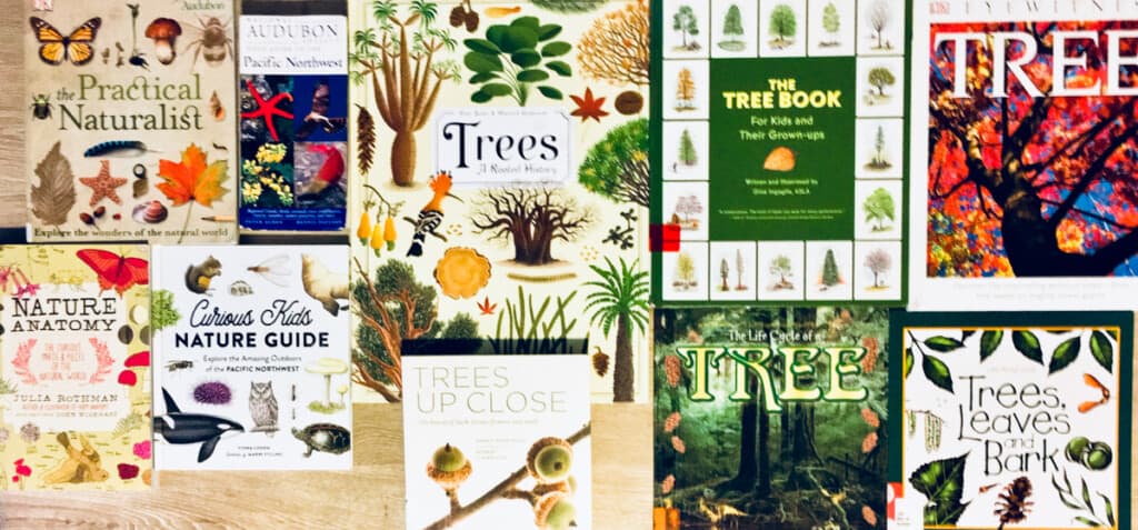 Montessori Tree Activities for Preschoolers • Happy Homeschool Adventures