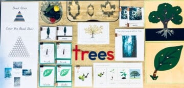 Montessori Tree Activities for Preschoolers • Happy Homeschool Adventures