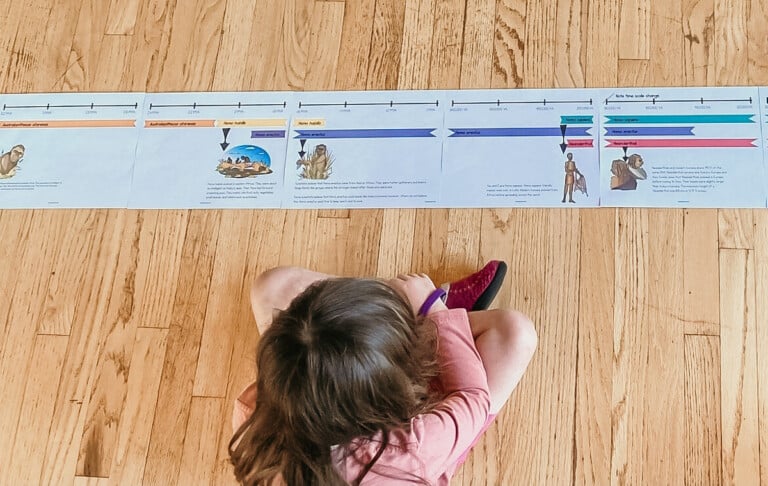 Human History Timeline and Fundamental Needs: The Montessori Third ...