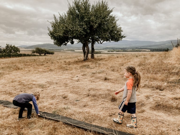 Human History Timeline and Fundamental Needs: The Montessori Third ...