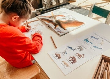 History of Language for Kids: The Montessori Fourth Great Lesson ...