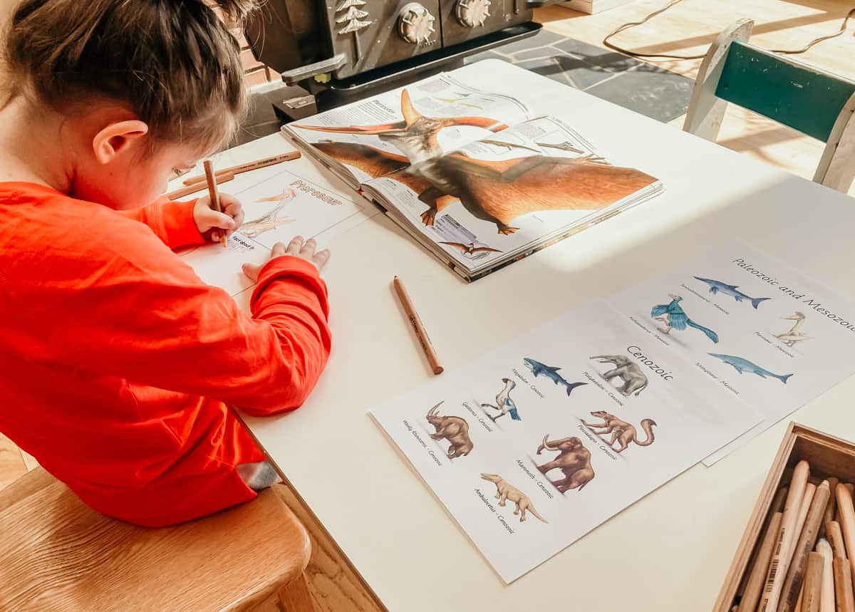 History of Language for Kids: The Montessori Fourth Great Lesson ...