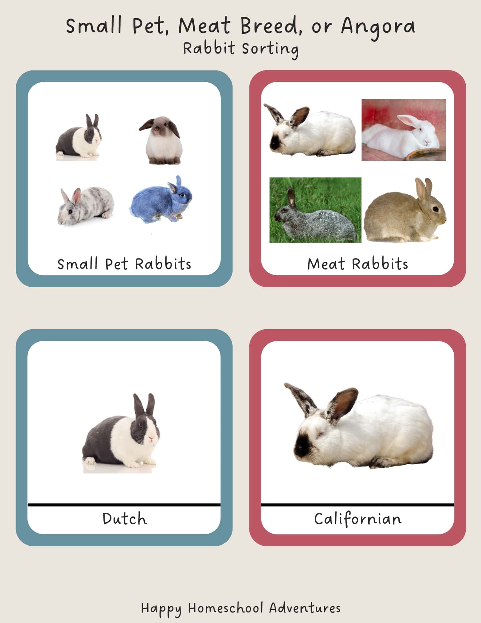 Pet Rabbit Care Routine With Free Printables • Happy Homeschool Adventures