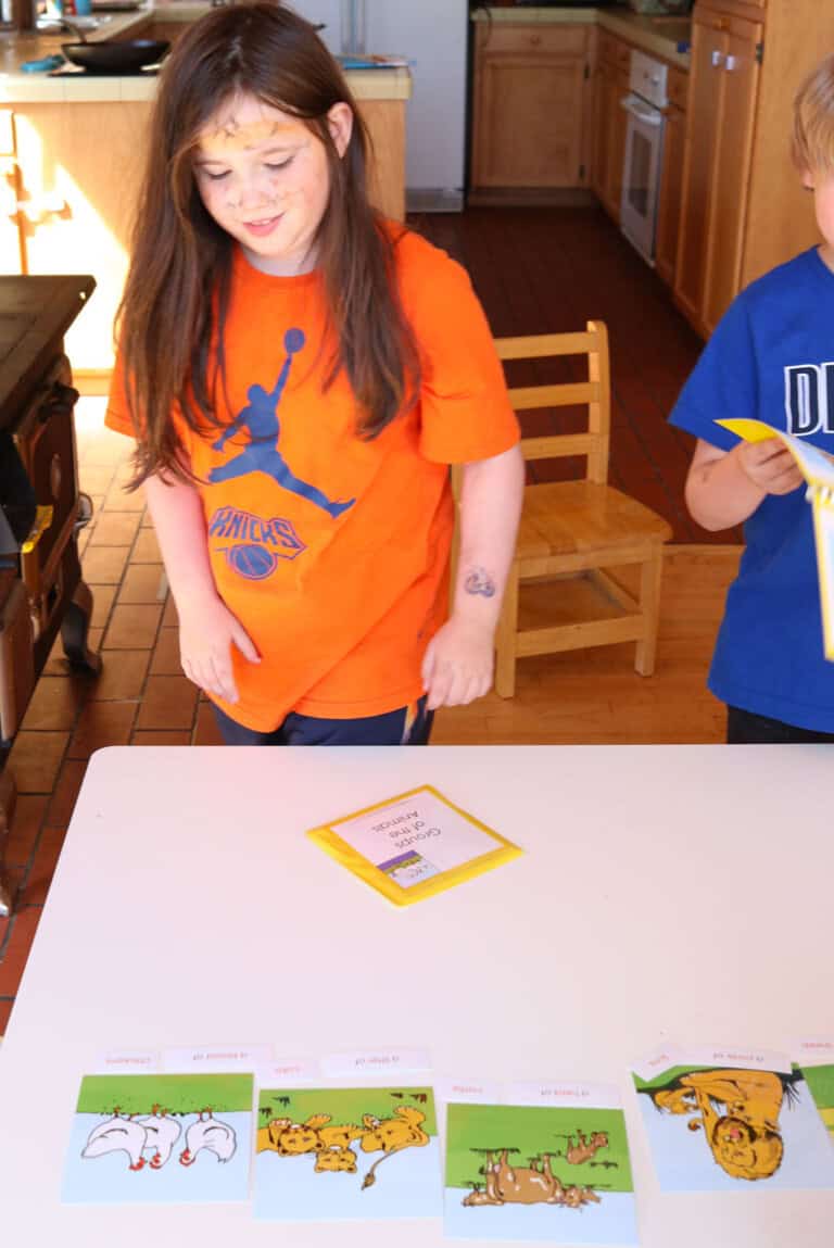 Montessori Materials: Phonetic Alphabet, Animal Homes, Animal Groups ...