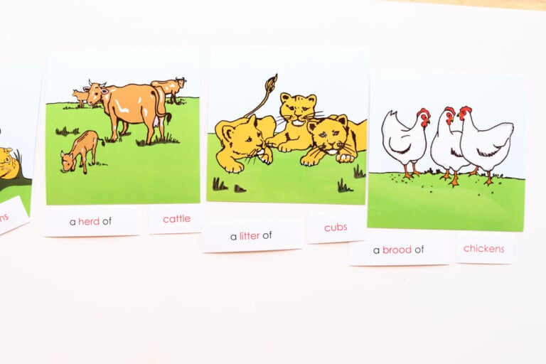 Montessori Materials: Phonetic Alphabet, Animal Homes, Animal Groups ...