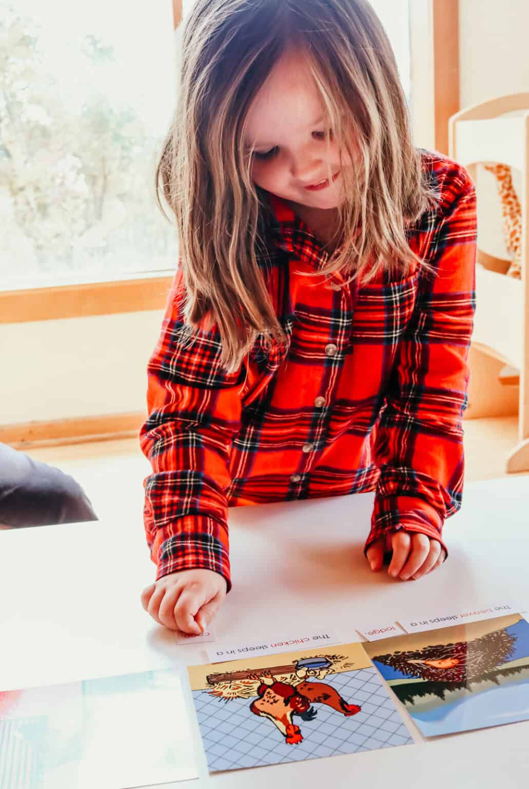 Montessori Materials: Phonetic Alphabet, Animal Homes, Animal Groups ...
