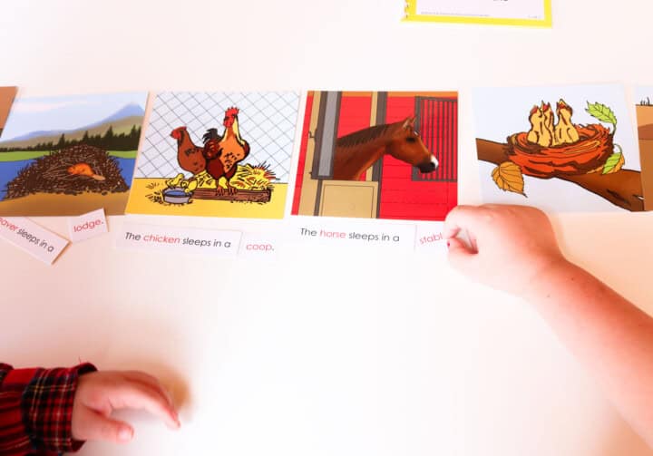 Montessori Materials: Phonetic Alphabet, Animal Homes, Animal Groups ...