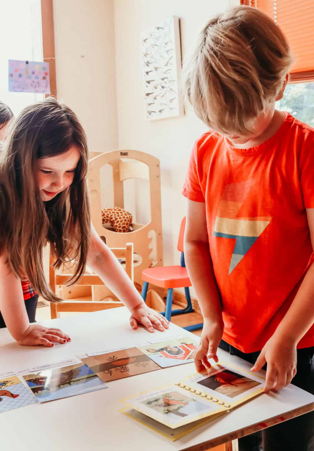 Montessori Materials: Phonetic Alphabet, Animal Homes, Animal Groups ...