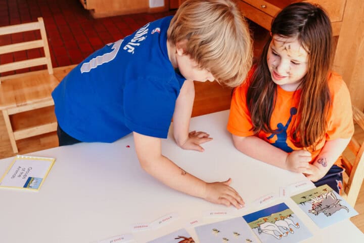 Montessori Materials: Phonetic Alphabet, Animal Homes, Animal Groups ...