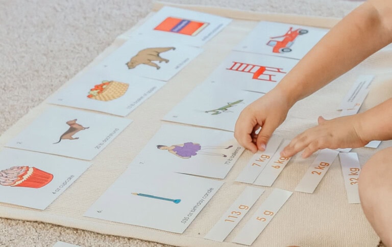 Montessori Materials: Phonetic Alphabet, Animal Homes, Animal Groups ...