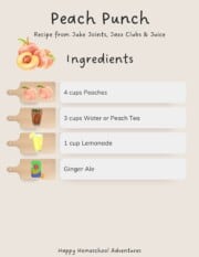 Peach Bellini Cocktail & Non-Alcoholic Peach Punch • Happy Homeschool ...